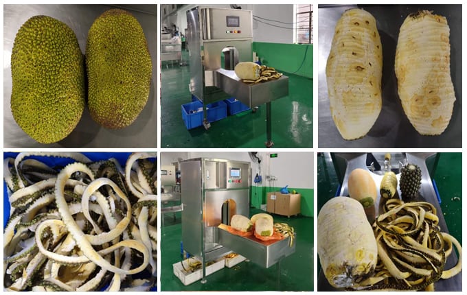 2024 Best Jackfruit Peeling Machine-Hanghui Machinery