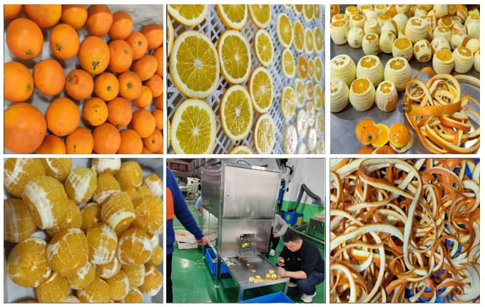 2024 Best Orange Peeling Machine Hanghui Machinery