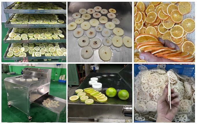 Apple Slicing Machine | Commercial And Industry Use